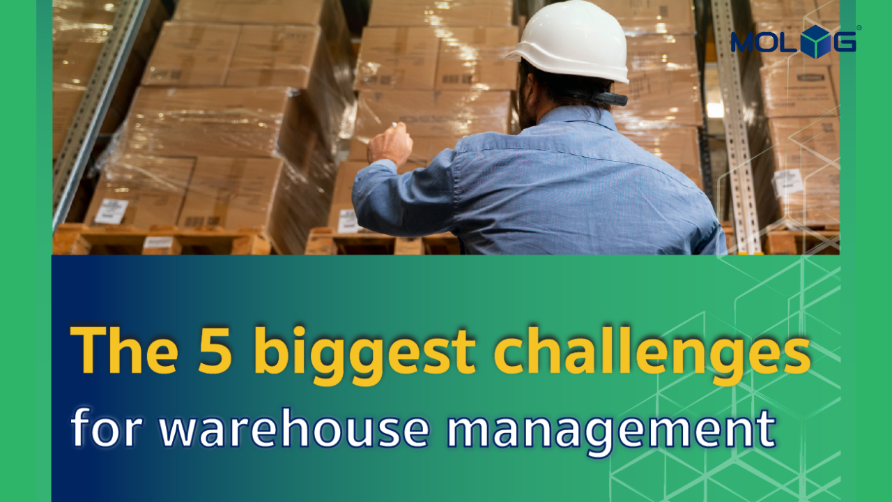 The 5 biggest challenges for warehouse management.